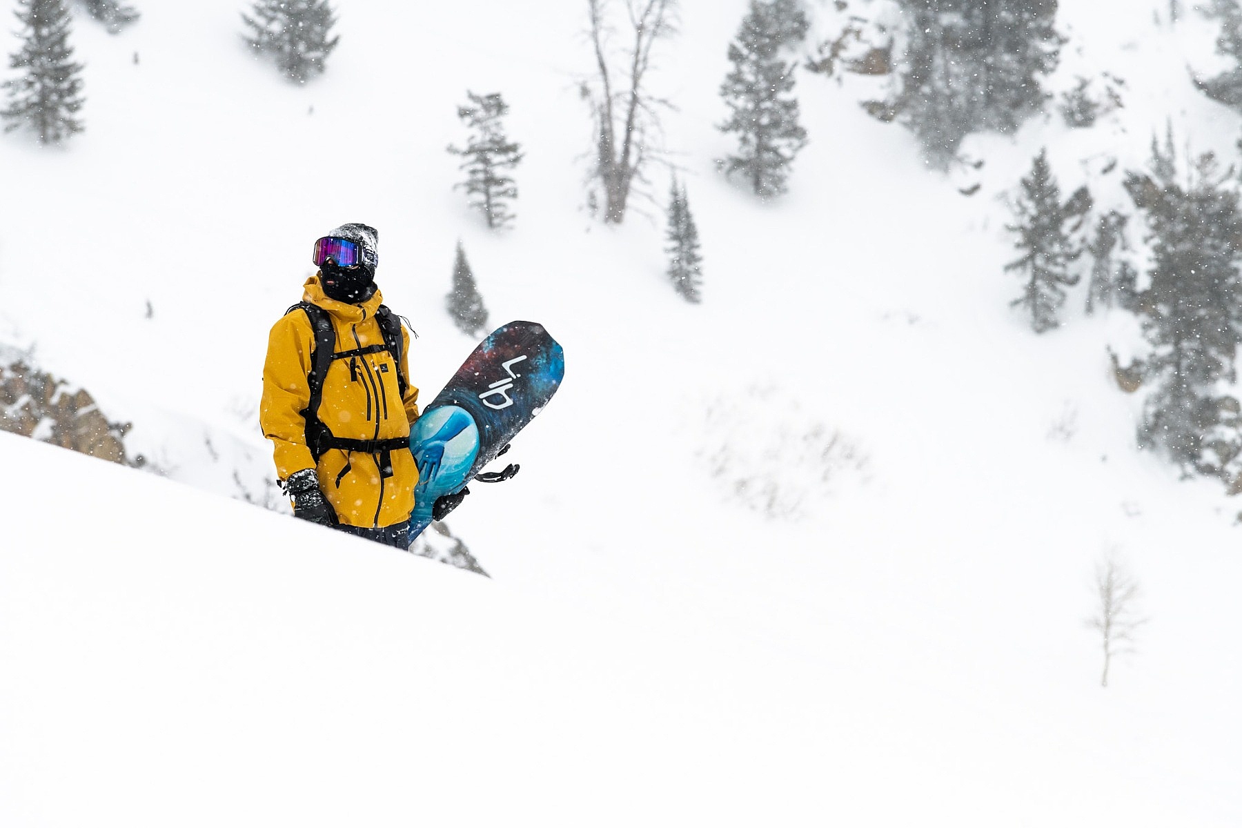 snowboard Lib Technologies Travis Rice Golden Orca C2 - Assorted ...